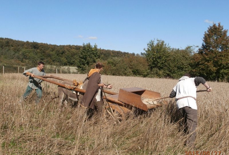 La moissonneuse trévire